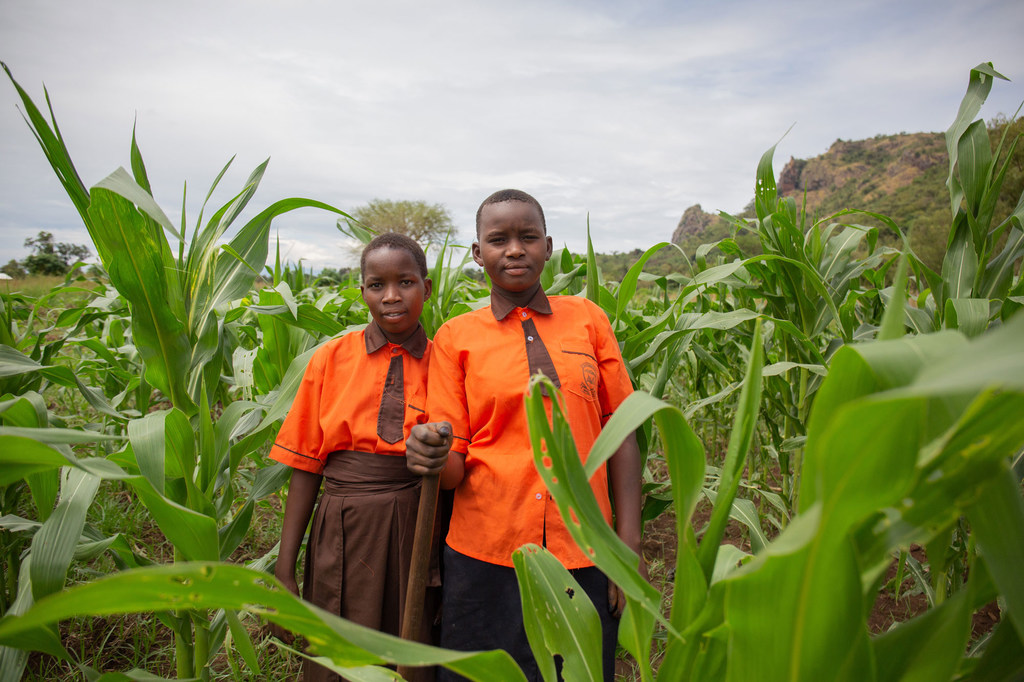 Kuongeza mlo shuleni Afrika ni muhimu kwa mustakbali wa bara hilo: WFP ...