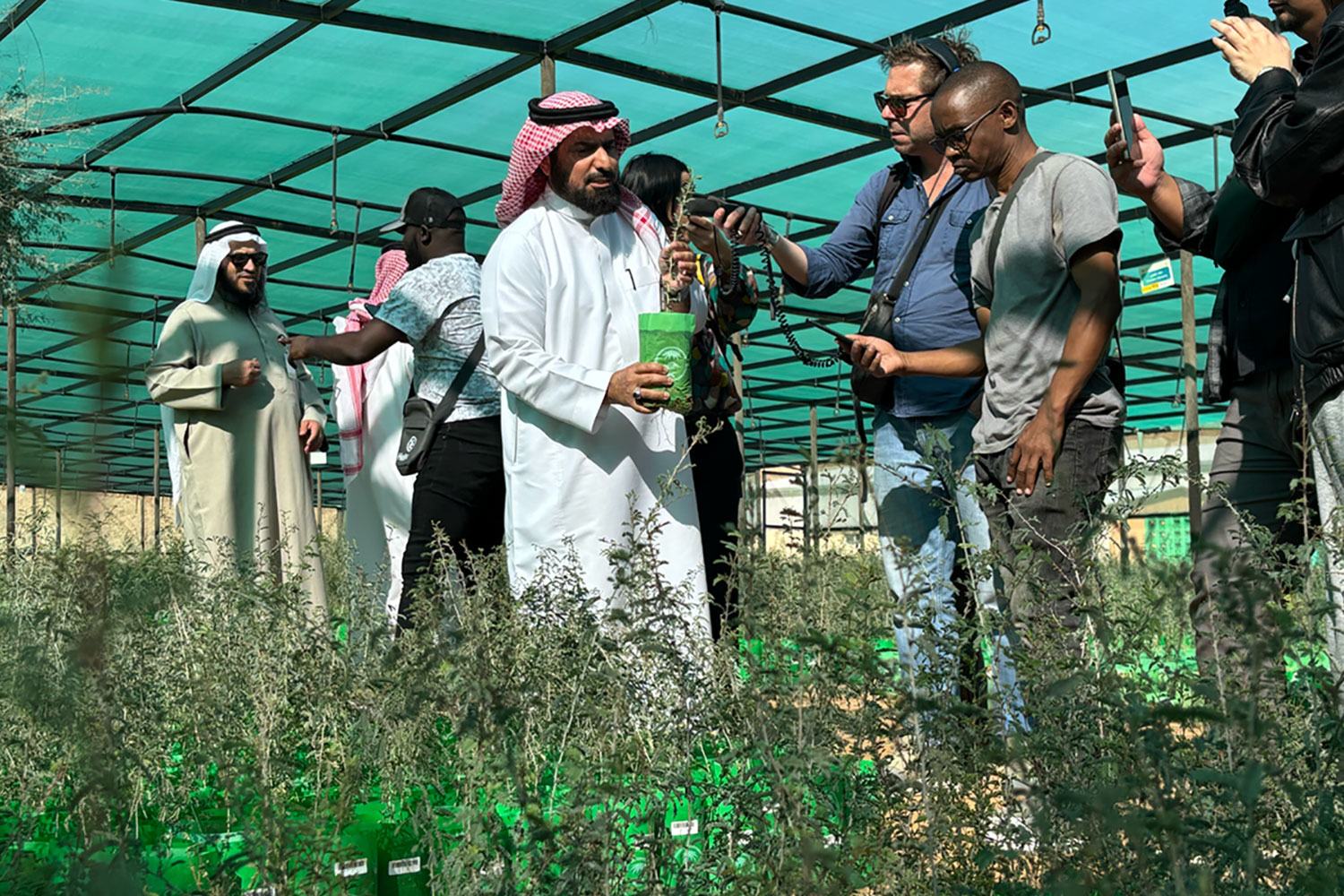 عرب ریاستوں میں موسمیاتی تبدیلی سے روزگار کے مواقع بھی تبدیل، آئی ایل ...
