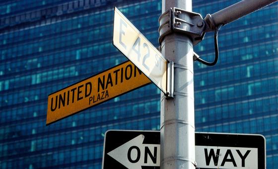 Navigate the News | UN News