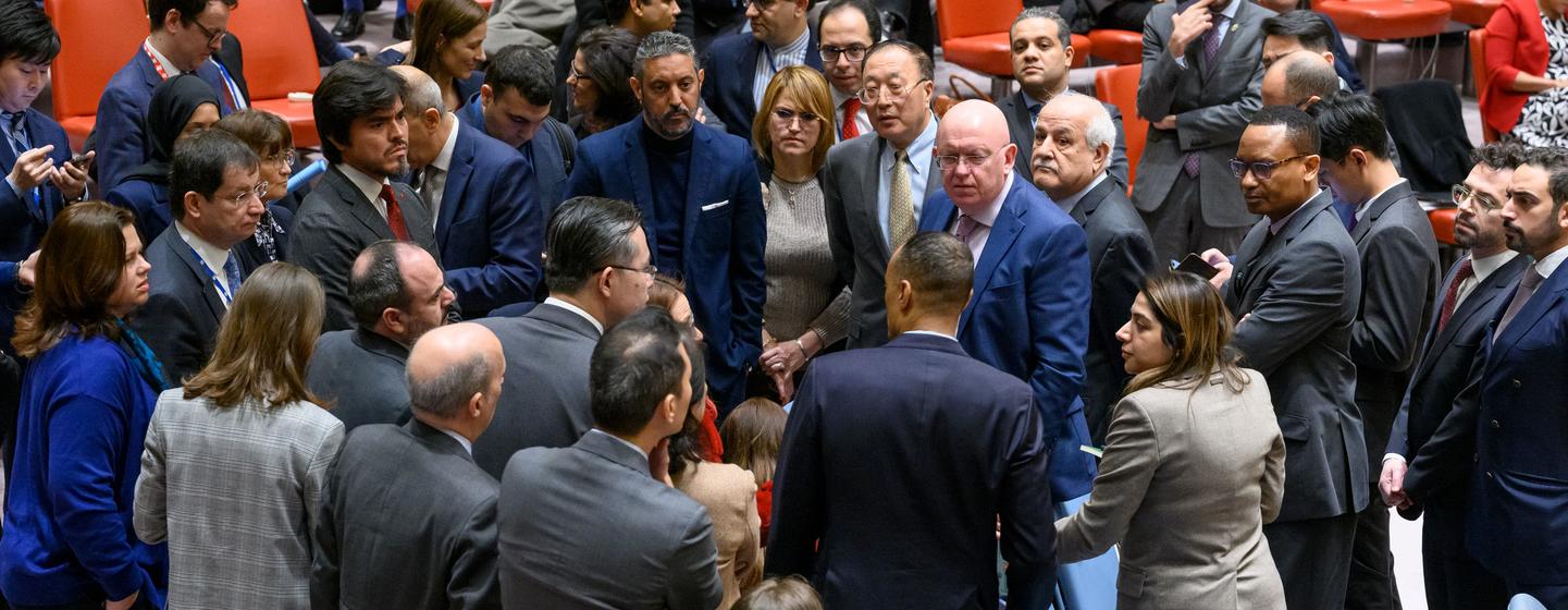 Explainer: The journey of a UN Security Council resolution | UN News