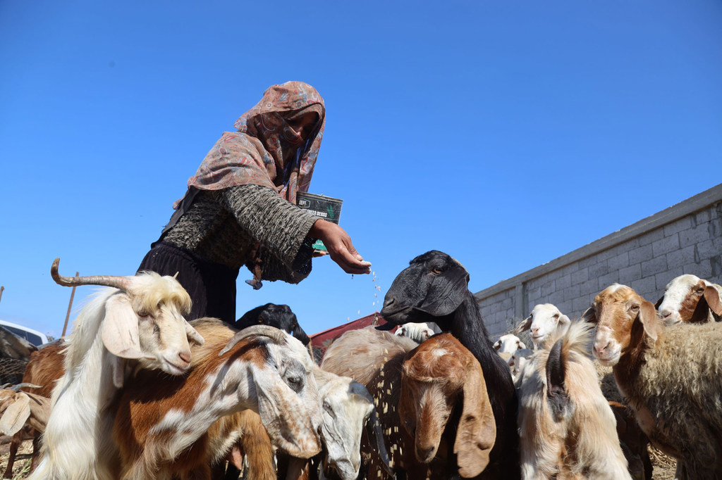Uhakika wa chakula katika nchi 22 na maeneo wazidi kuyoyoma – WFP/FAO ...