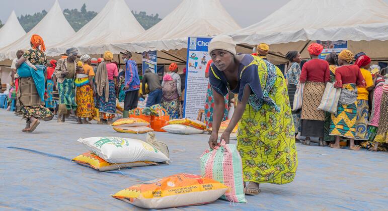 UN Haiti Support, Theo James in Syria, DR Congo Appeal | Mirage News