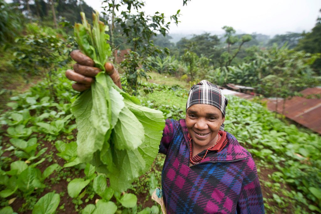Mradi wa HOTIGRO wa UNDP wainua wakulima wa mboga na matunda Tanzania ...