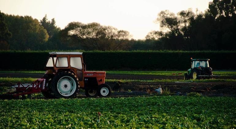 یوکرین: زرعی شعبہ کی بحالی کے لیے یو این ادارے کا تین سالہ منصوبہ | یو ...