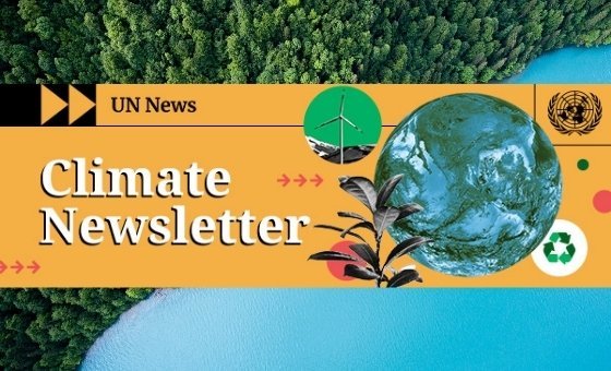 Climate Newsletter Signup | UN News