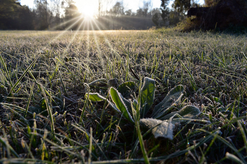 Chile and Argentina among coldest places on Earth as polar anticyclone ...