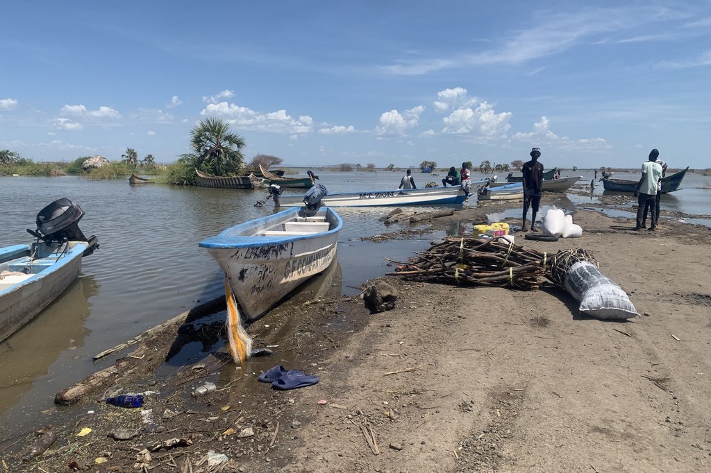 Majokofu ya nishati ya sola yaondolea wavuvi Ziwani Turkana adha ya ...