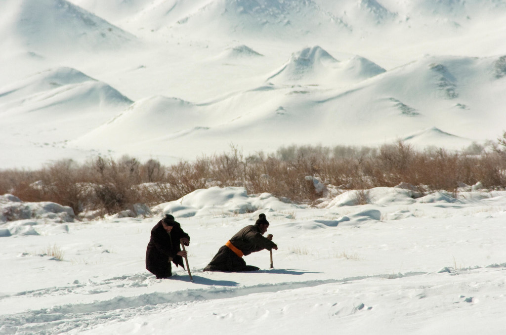 Mongolian dzud: Extreme weather puts 90% of country at ‘high risk ...