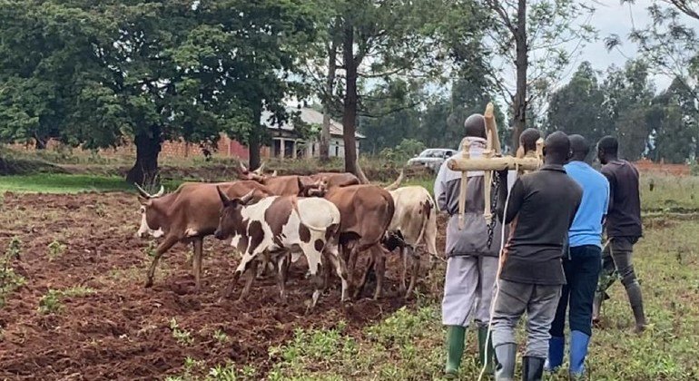 Mbinu ya kubaini mapema homa ya bonde la ufa yasaidia kulinda maisha na ...