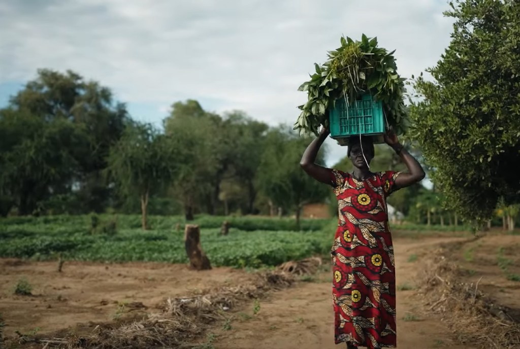 Asante FAO kunijengea mnepo sasa najikimu mimi na familia yangu: Lilly ...