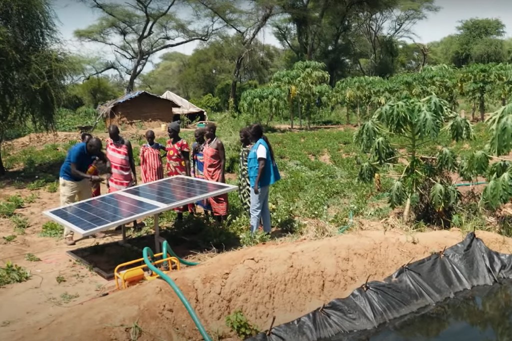 Asante FAO kunijengea mnepo sasa najikimu mimi na familia yangu: Lilly ...