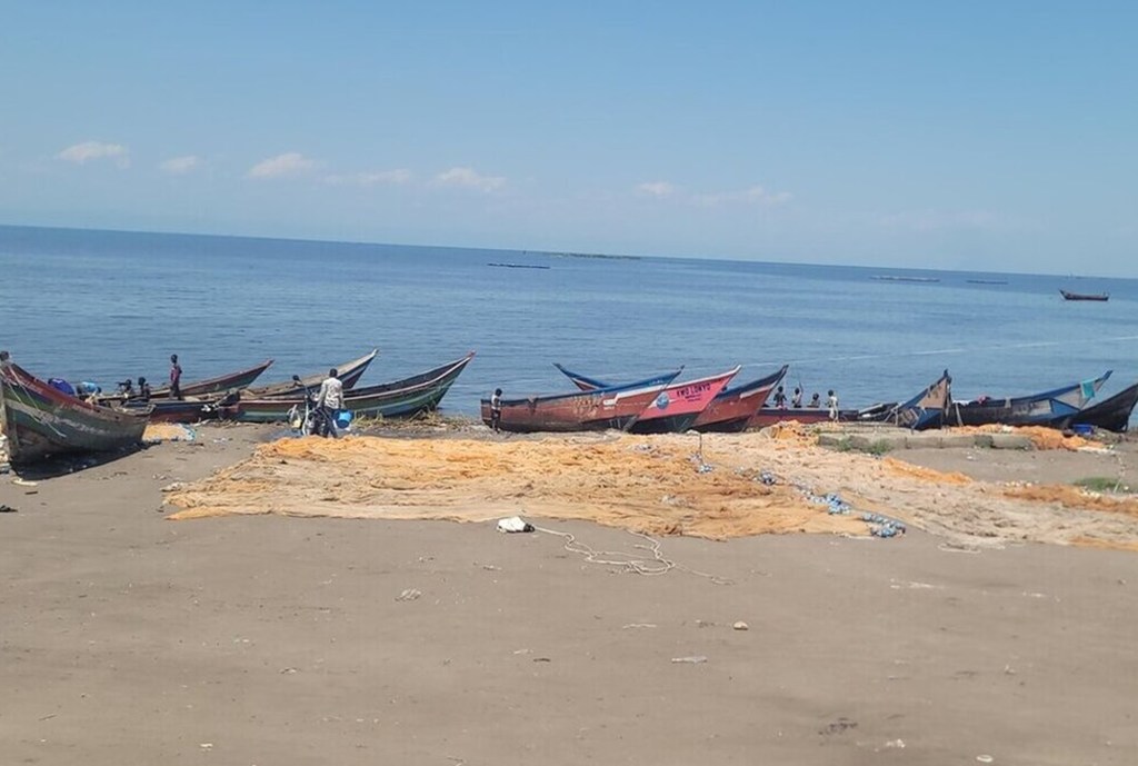 ITURI: Silaha zawekwa chini, nyavu za samaki zachukua nafasi | Habari za UN