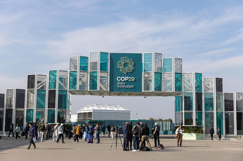 COP29 | ONU Info