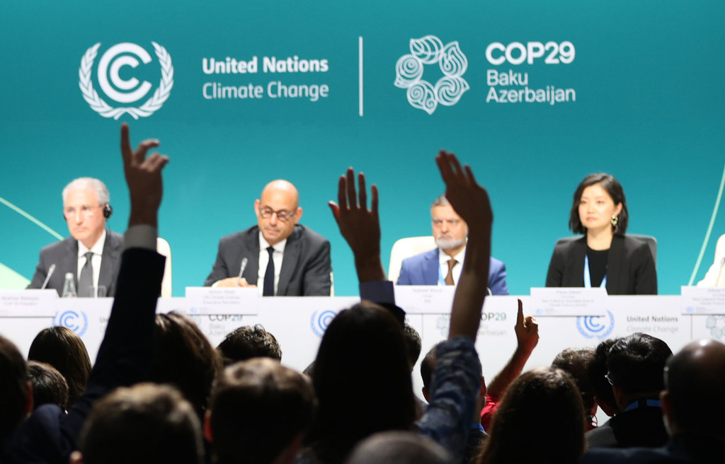 COP29 | UN News