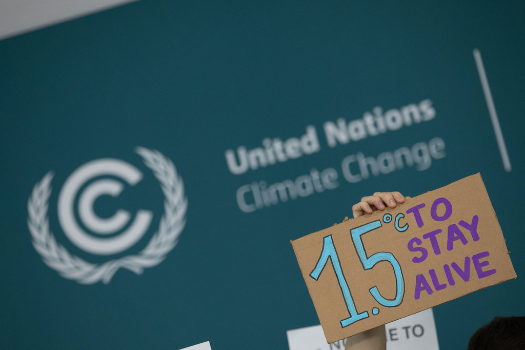 COP29 | UN News