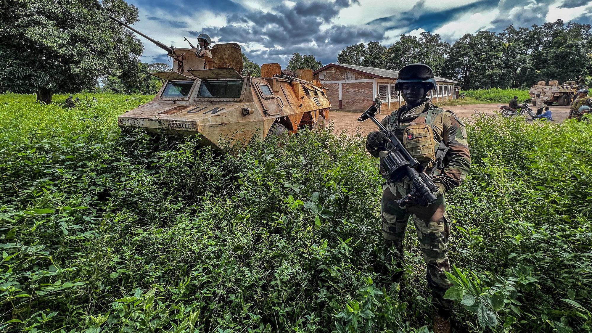 representative elements in hindi