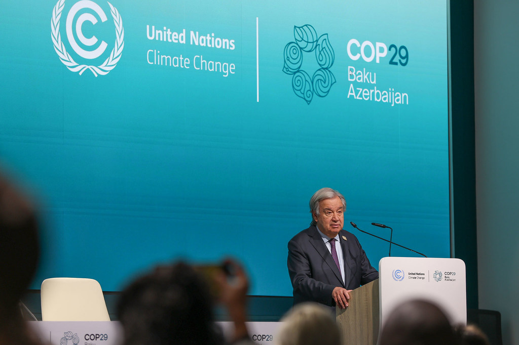 COP29 | UN News
