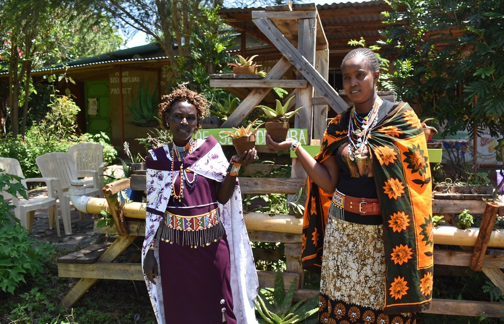 Mmea wa shubiri waleta tumaini jipya na kuwapa wanawake sauti katika ...