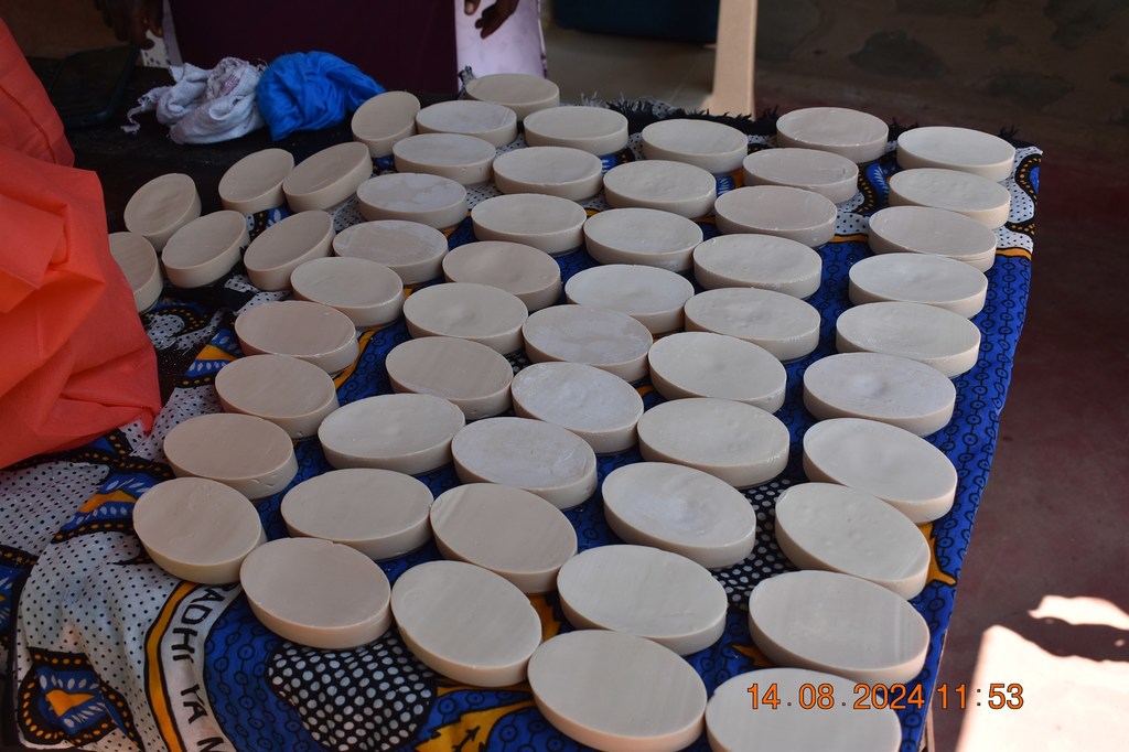 Mmea wa shubiri waleta tumaini jipya na kuwapa wanawake sauti katika ...