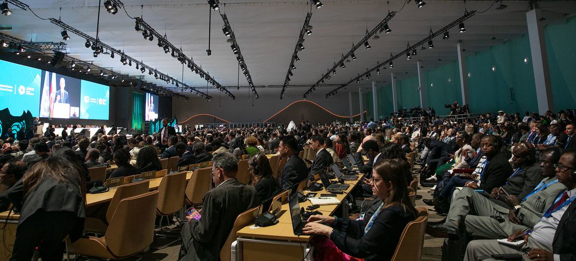 COP29 chega a acordo de US$ 300 bilhões anuais para luta contra crise ...