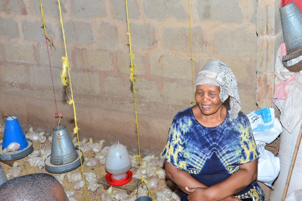FAO Tanzania yazindua mradi wa kupunguza matumizi ya dawa katika ...