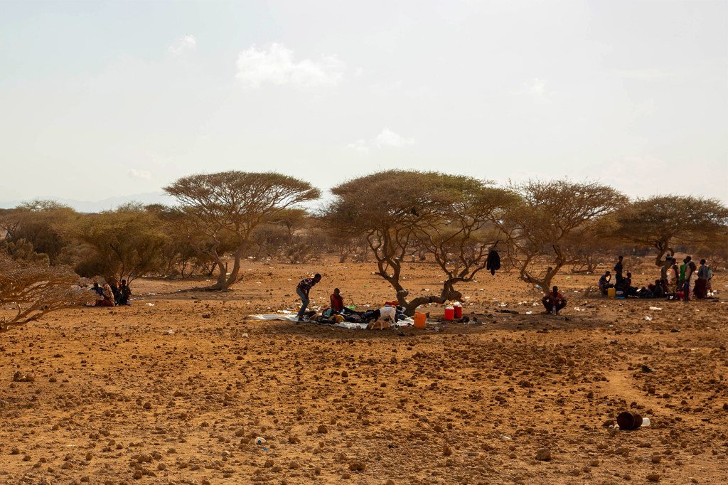 IOM yaomba dola milioni 112 kusaidia wahamiaji wanaotumia njia ya pembe ...