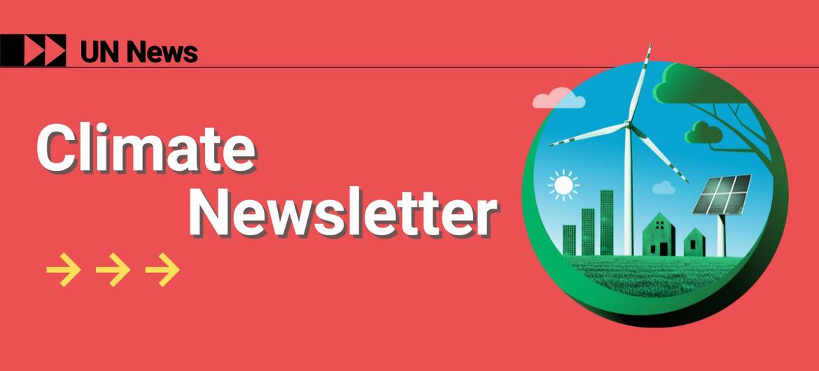 UN News Climate Newsletter | UN News
