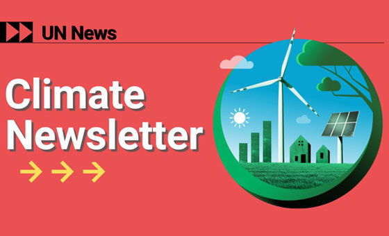 COP29 | UN News