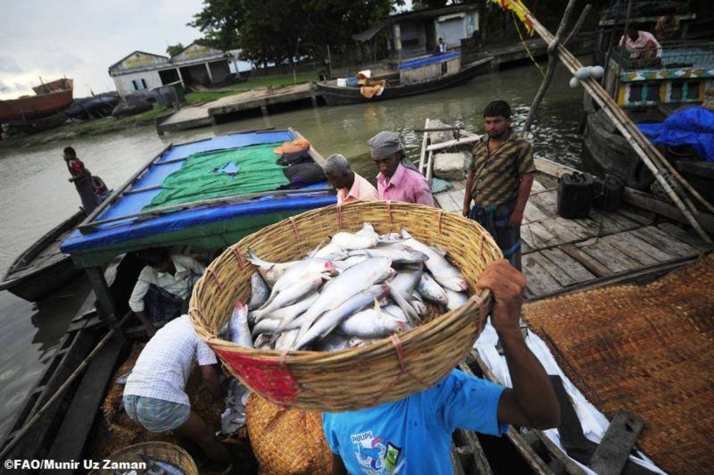 Mradi wa UNIDO umenisaidia kuufukuza umasikini:mvuvi Nejwa | Habari za UN