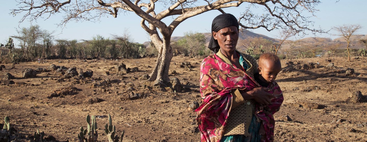 El Niño est de retour : l’OMM prévoit une recrudescence des phénomènes ...