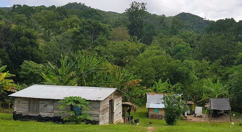 Los servicios financieros ayudan a mejorar a las comunidades rurales en ...